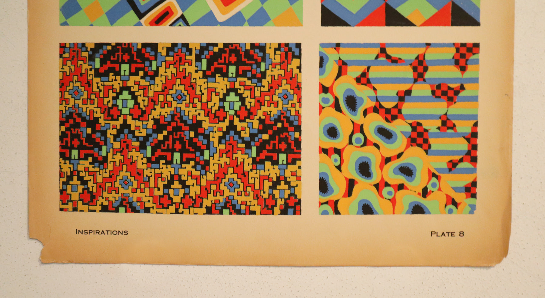 1928 American Botanical Design Pochoir, Inspirations (Book B, Plate 8 ...