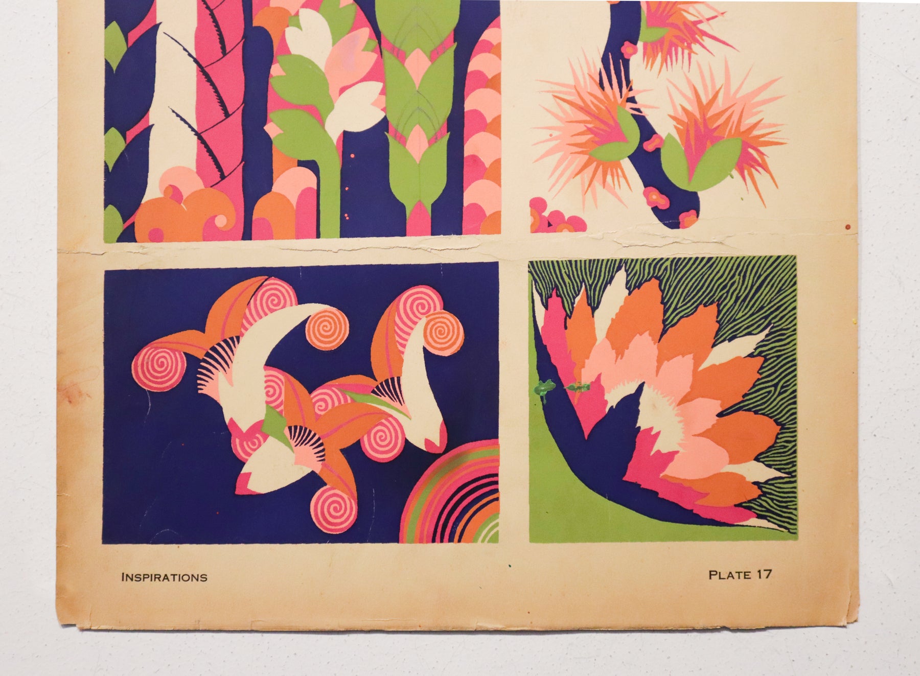 1928 American Botanical Design Pochoir, Inspirations (Book B, Plate 17 ...