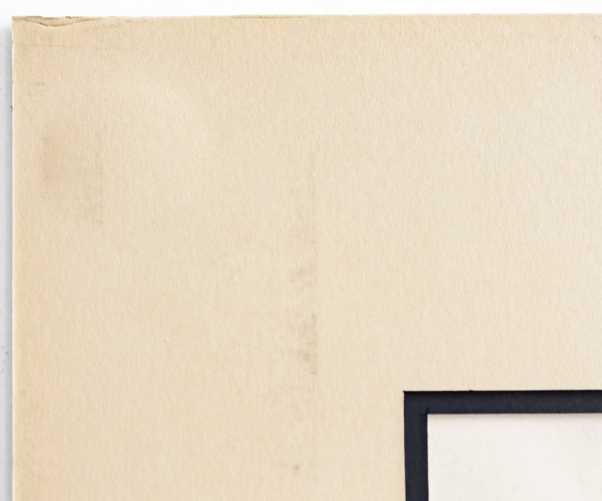 1899 Original French Art Nouveau Pochoir, Nos Actrices, Cassive - Capp ...